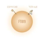 FT819 - Fate Therapeutics