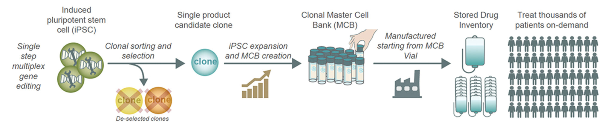 iPSC Platform - Fate Therapeutics